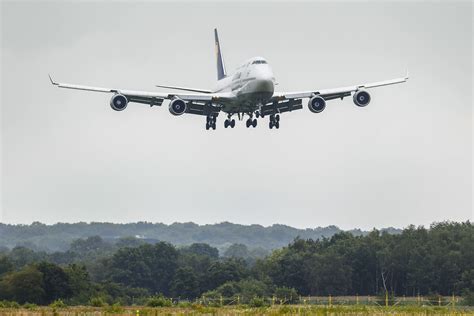 馬兒在飛機上失控 波音747折回甘迺迪機場 ＊ 阿波羅新聞網