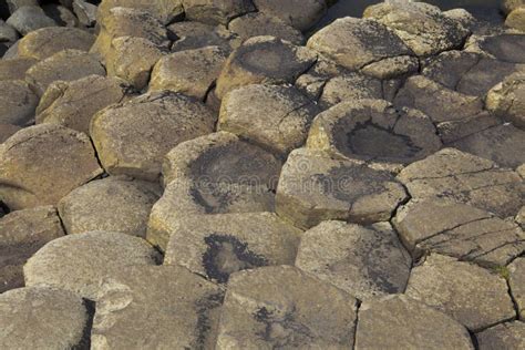 Polygonal Basalt Lava Rock Columns Of The Giant`s Causeway Editorial Image Image Of Ulster