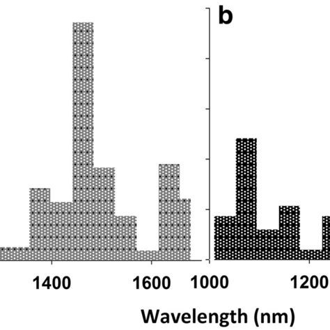 Measurement Setup Of The Hyperspectral Root Imaging System With A
