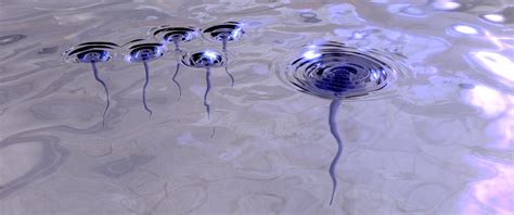 Quantized Vortices In Superfluid Christopher G Baker