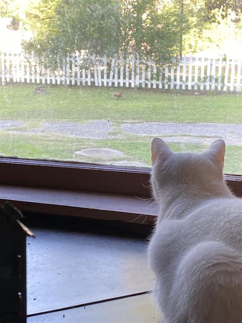 Heather Belbin Belbinheather Twitter