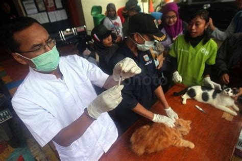 SINDO Hi Lite Kampus Dengan Jurusan Kedokteran Hewan Terbaik Di Indonesia