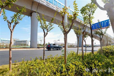 还路进度精确到天 武汉地铁16号线二期高质量“还路于民”施工进行作业