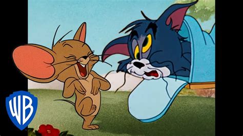 Tom und Jerry auf Deutsch 🇩🇪 | Schelme fürs Leben | @WBKidsDeutschland - YouTube