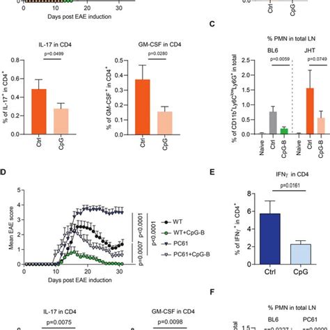Cpg‐b Suppresses Eae Independently Of B Cells And Tregs A Eae Was