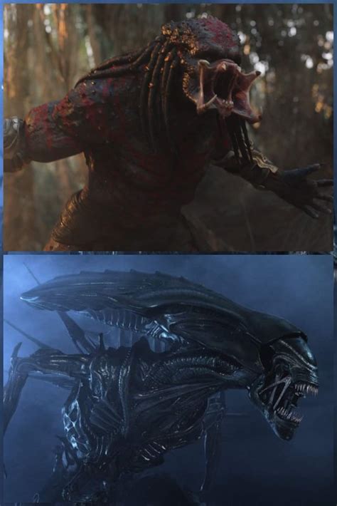 Enhanced Predator The Predator Vs Alien Queen Who Wins Rlv426