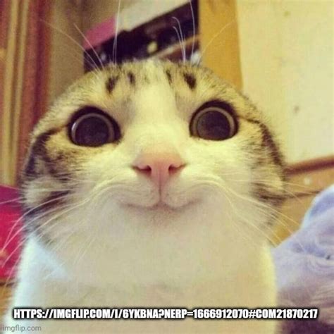 Smiling Cat Meme Imgflip