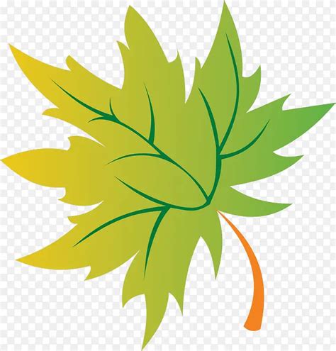 手绘叶子png图片素材下载图片编号8708927 Png素材网