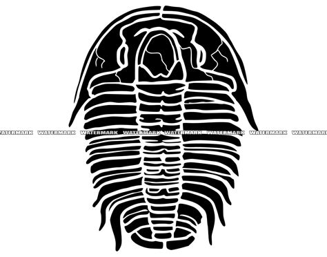 Fossil Svg Fossil Cut File Fossil Dxf Fossil Png Fossil Clipart