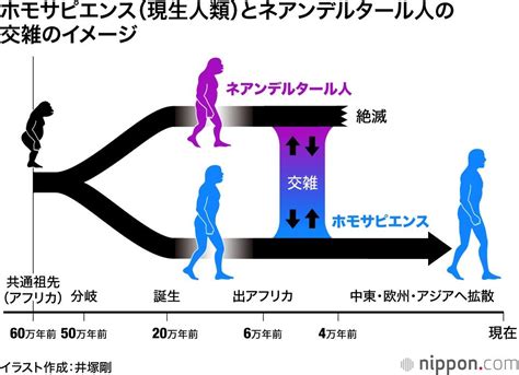 クロマニョン人の特徴！顔と遺伝子・進化と日本人・ホモサピエンスネアンデルタール人新人類との違いまとめ Celeby セレビー ｜海外