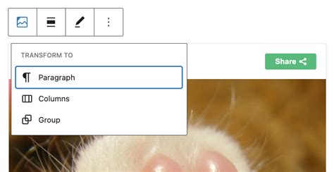 Helphub Imgur · Issue 182 · Wordpressdocumentation Issue Tracker