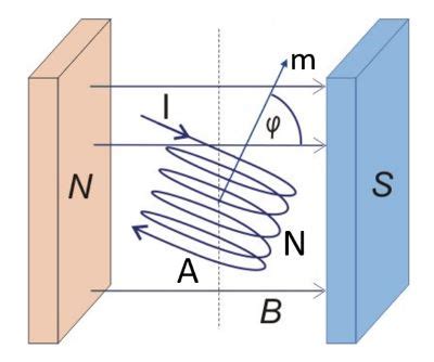 Torque Of A Magnetic Force OpenProf Com Torque Of A Magnetic Force OpenProf Com