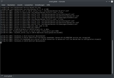 Bareos Fehlermeldung Unable To Authenticate With File Daemon At
