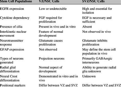 Differences Between Vz And Svz Derived Stem Cells The Differences
