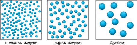 கரைசல்கள் — Lesson அறிவியல் Class 9