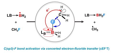 Csp3−f Bond Activation By Lewis Base‐boryl Radicals Via Concerted