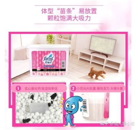 低成本防潮措施回南天必备防潮除湿神器！除湿剂品牌十大排行榜！ 知乎