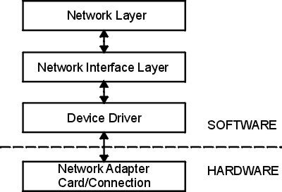 Network Interface Packet Headers