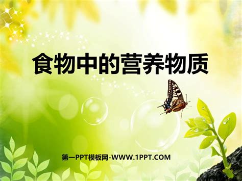 《食物中的营养物质》人体的营养ppt课件 人教版七年级生物下册