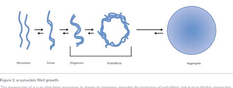 Figure 1 From Comparison Of Microfluidic Diffusional Sizing And Tht