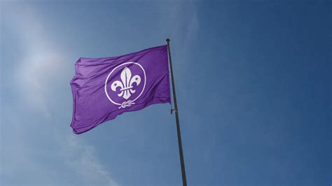 World Scouting Welcomes Gaza Ceasefire Wosm