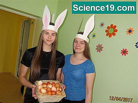 Tegevus Fibonacci Järjestusega 💫 Teaduslikud Ja Populaar Multimeedia