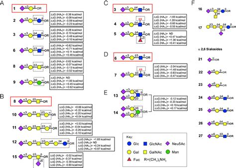 The Binding Energy Contributions From Sugars Or Modifications Of