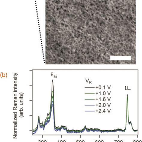 A Schematic Illustration Of A Multilayered Ws2 Nanotube B Typical