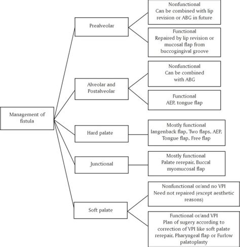 Algorithm For Management Of Palatal Fistula Download Scientific Diagram