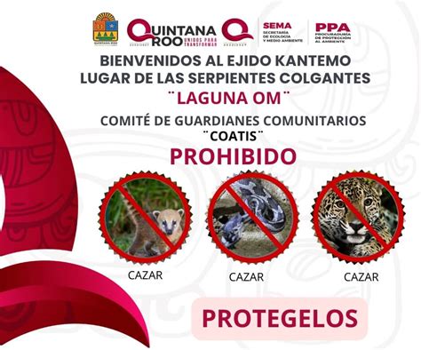 La Jornada Maya Quintana Roo