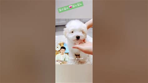 웅이사랑 💗 기부천사 히어로 영웅시대 영시님들 항상 건행 리사이를 고척스카이돔 연말연초 콘서트 임영웅 쇼츠 💫💫💫💫💫💫💛💛💛💫💫