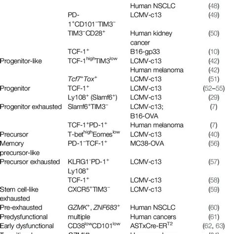 Two Step Priming Model During The First Step Of T Cell Priming Left