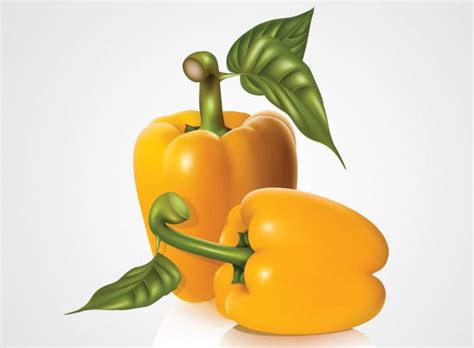 فلفل أصفر حلو بابريكا Eps Uidownload