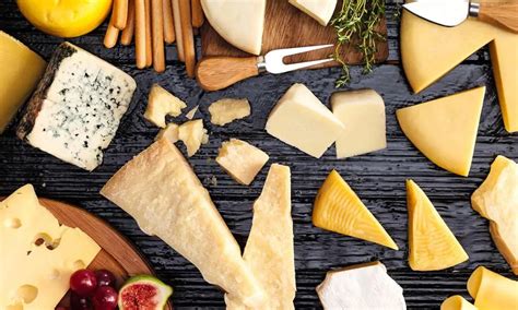 How Long Can You Freeze Cheese Top Food Storage Reviews