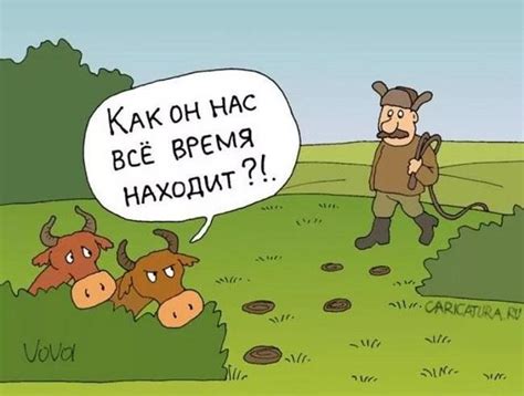 Самые смешные анекдоты про коров