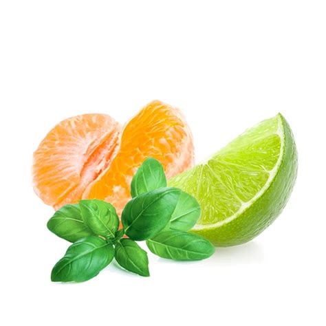 Home Fragrance Mandarin And Lime Basil Sample 20ml