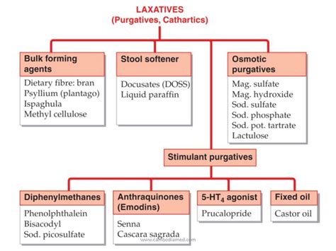 Laxative Time Meaning At Hayley Hood Blog