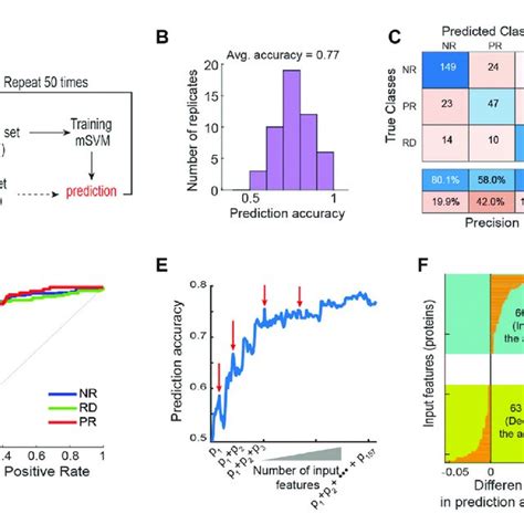 Machine Learning Based Prediction Of Response To 17 Aag A A Machine