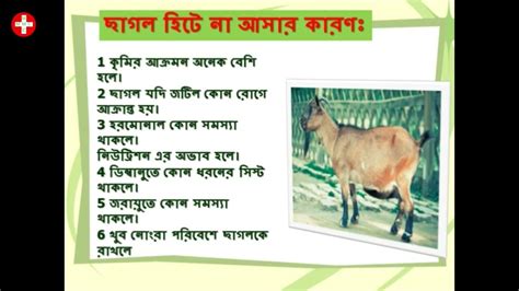 ছাগল হিটে না আসলে কি করবেন Youtube