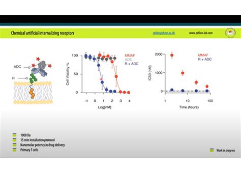 Watch Alex Lecture On ‘artificial Receptors And Signaling Cascades