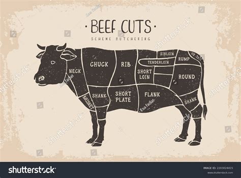 Beef Cuts Poster Butcher Diagram Groceries Stock Vector Royalty Free