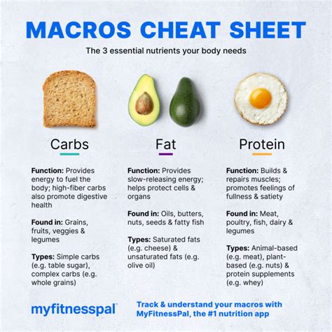How To Track Your Macros For Bulking On Myfitnesspal