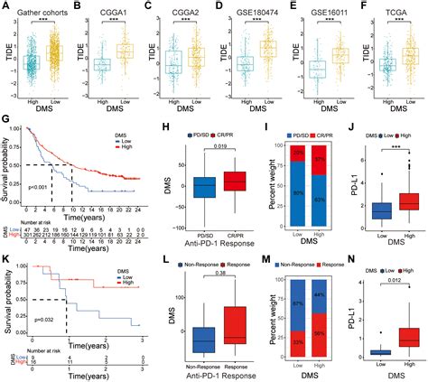 Dna Methylation Regulator Mediated Modification Patterns And Tumor Microenvironment