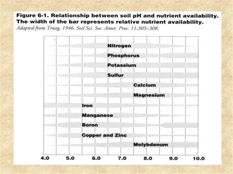 Soil Plant Animal Relationship Ppt