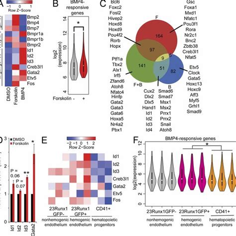 Transcriptome Analysis Reveals Evidence Of Pkacrebbmp Signaling In