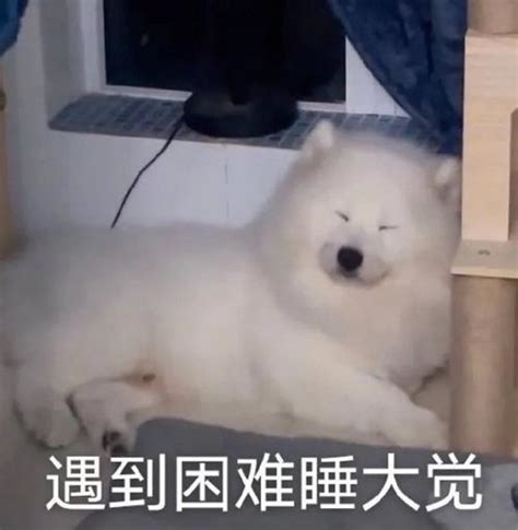 如何解决服务器延迟过高的问题？ 亿联云