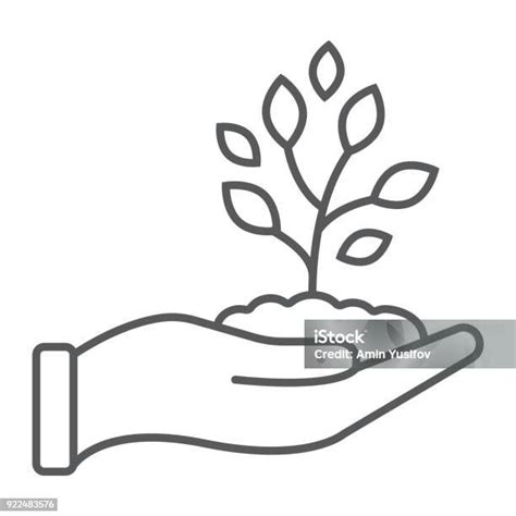 芽在手薄線圖示 農業和農業 植物護理符號向量圖形 一個線性模式在白色背景 Eps 10向量圖形及更多乾淨圖片 乾淨 人 人手 Istock