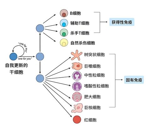 图文详情