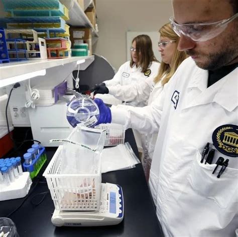 Peanut Laboratory Testing Services In Nagpur Id 2853193241830