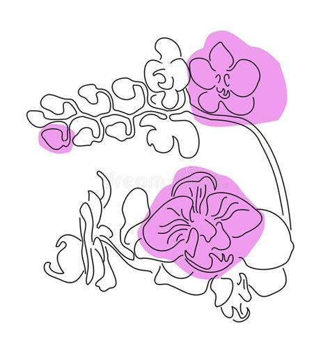 Hand Drawn Sketch Line Orchids Flower In One Line And Spot Stock Vector